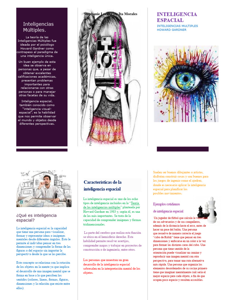 Inteligencia Espacial | PDF