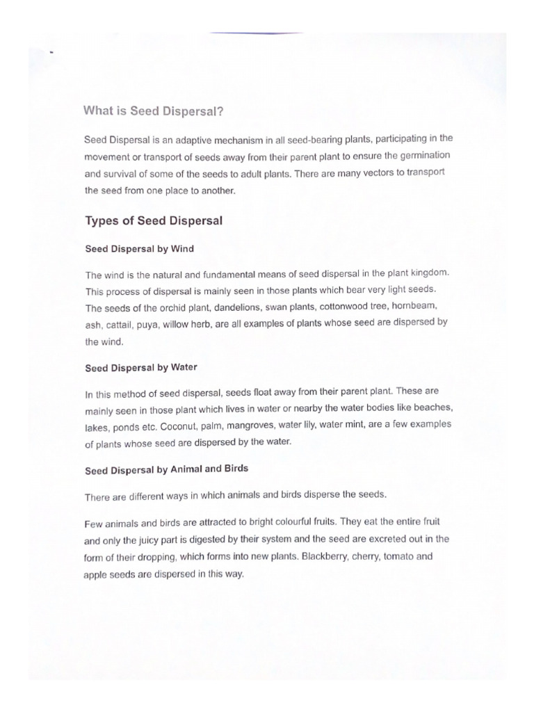 What Is Seed Dispersal | PDF