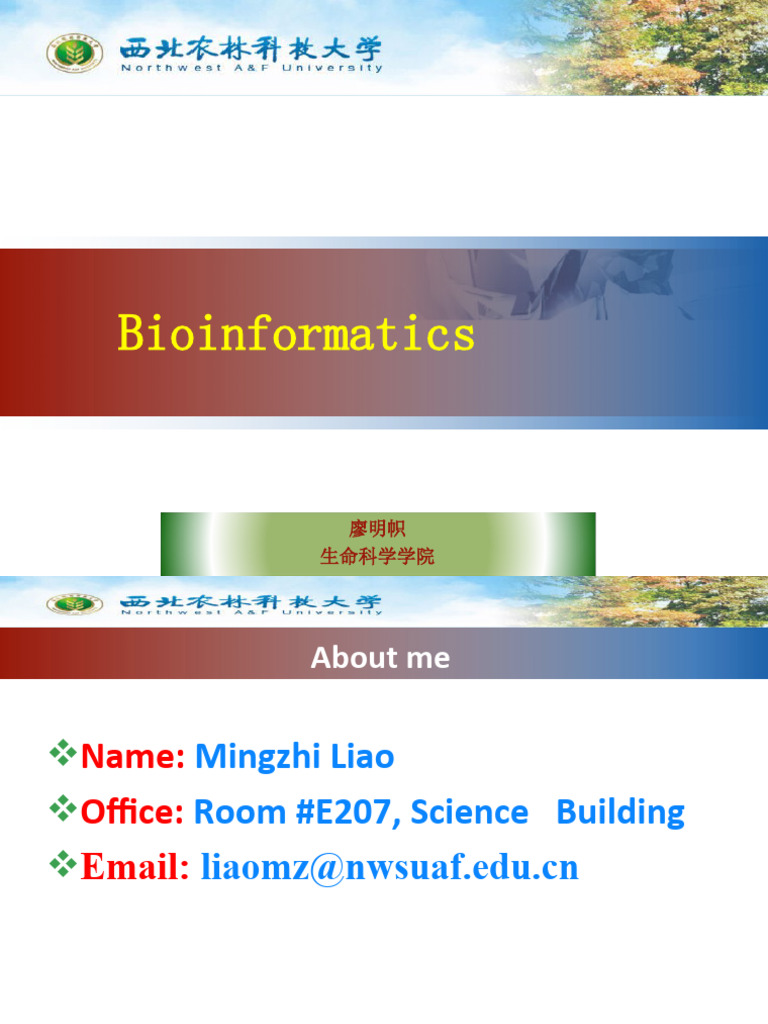 1 Introduction To Bioinformatics | PDF