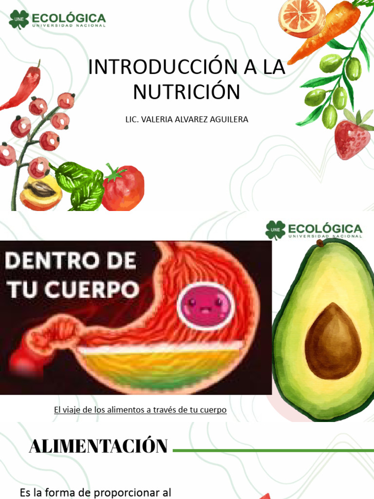 Tema 1 Introducción A La Nutrición | PDF | Nutrición | Dieta y nutrición
