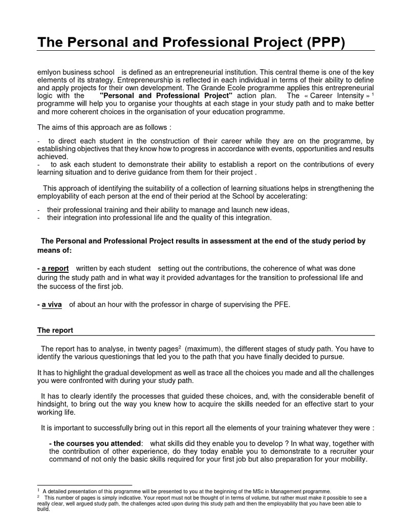 Emlyon - PPP Personal and Professional Project | PDF | Entrepreneurship ...