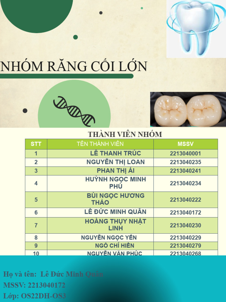 Giải phẫu răng | PDF