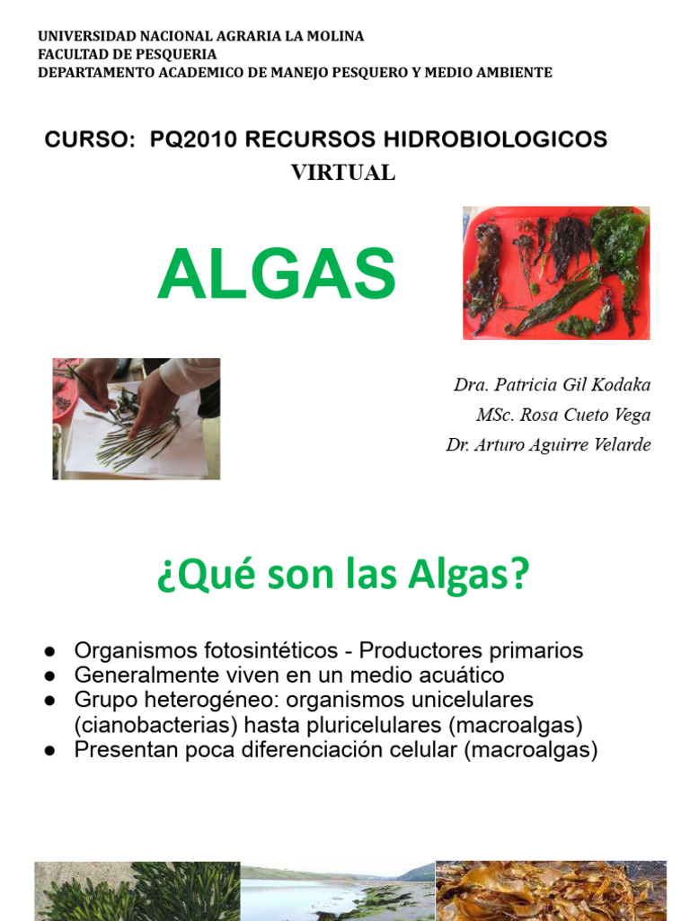 6 - RRHH Algas 2022-I.pptx - Compressed | PDF | Algas | Cianobacterias