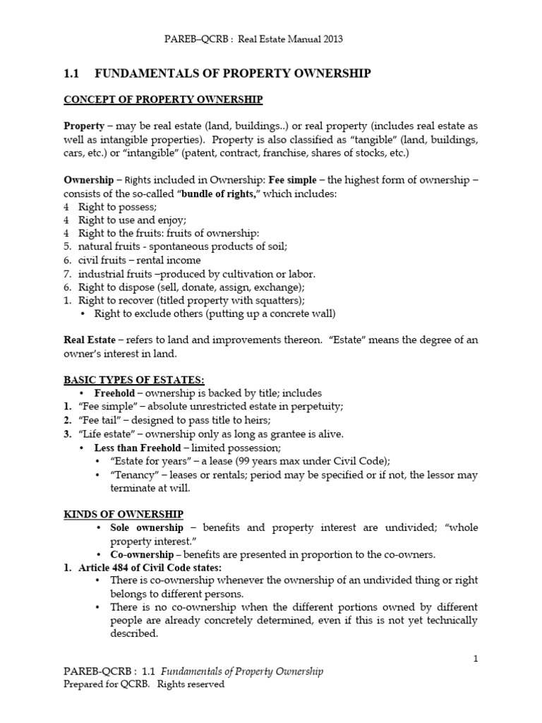 Fundamentals of Ownership | PDF