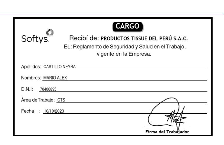 Cargo de Entrega Risst - Softys | PDF