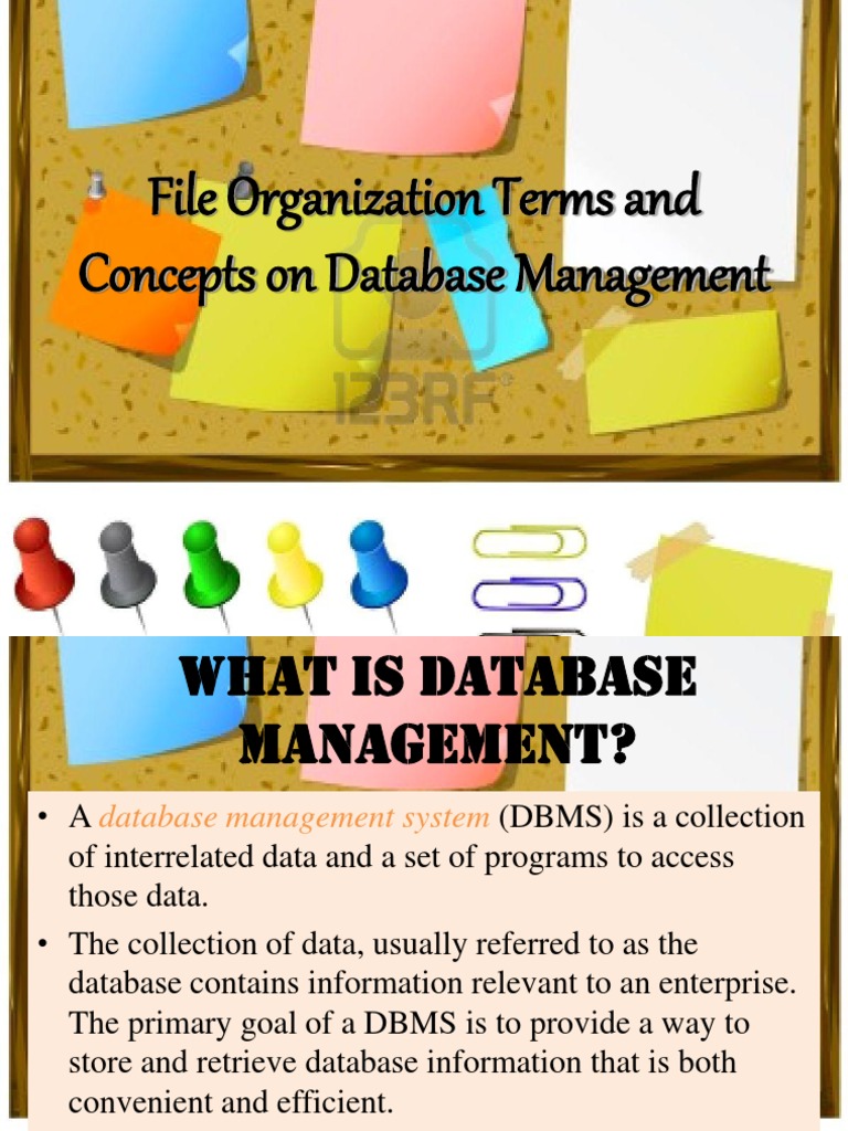 Database Management System | PDF | Databases | Data