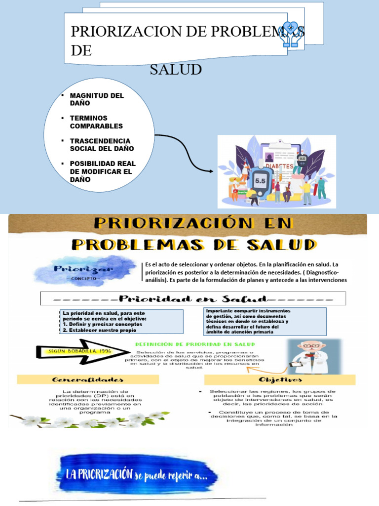 Priorizacion de Problemas de Salud - 105414-1 | PDF