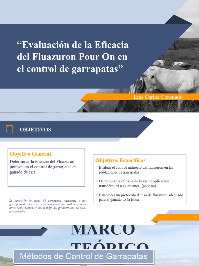 Fluazuron Ok | PDF | Vacas | Taxa