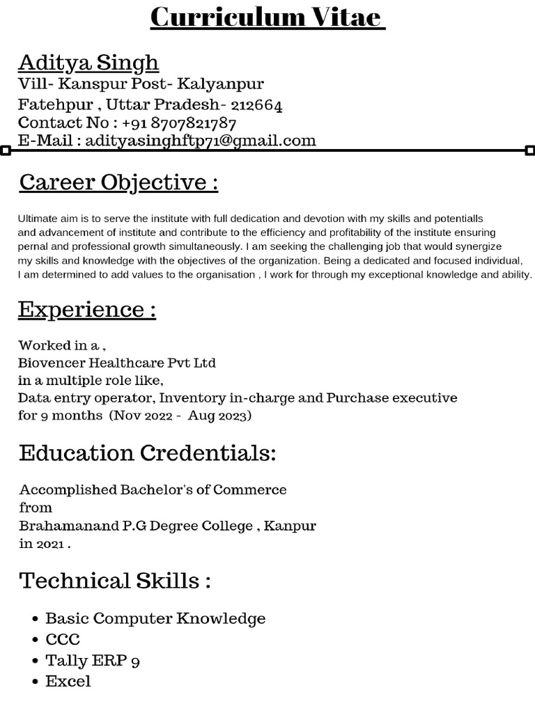 Aditya S Resume - 8 | PDF