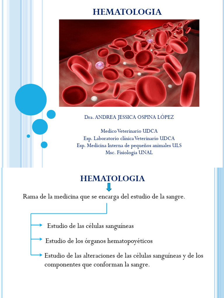 Clase 2 Hematologia | PDF