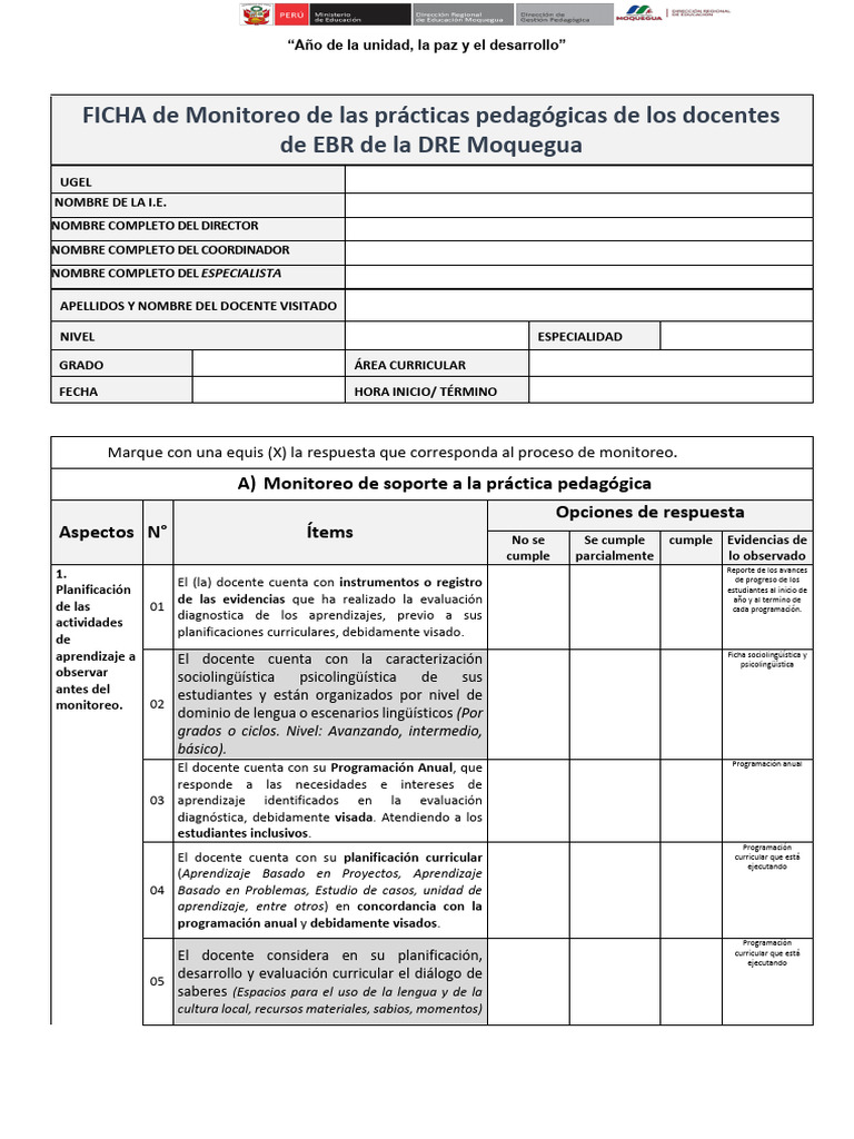 FICHA MONITOREO DOCENTE Prof | PDF | Evaluación | Aprendizaje