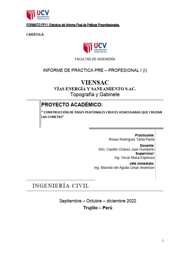 Formato Fp11-Estructura Del Informe Final | PDF | Business | Calidad (comercial)