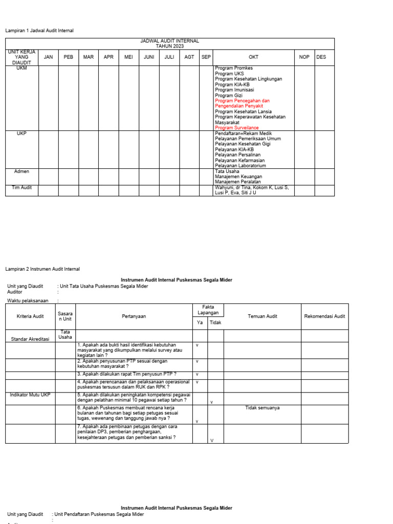 Instrumen Audit Internal | PDF