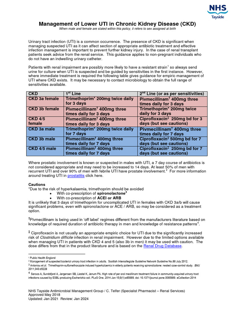 UTI in CKD Dec 2013 Final | PDF