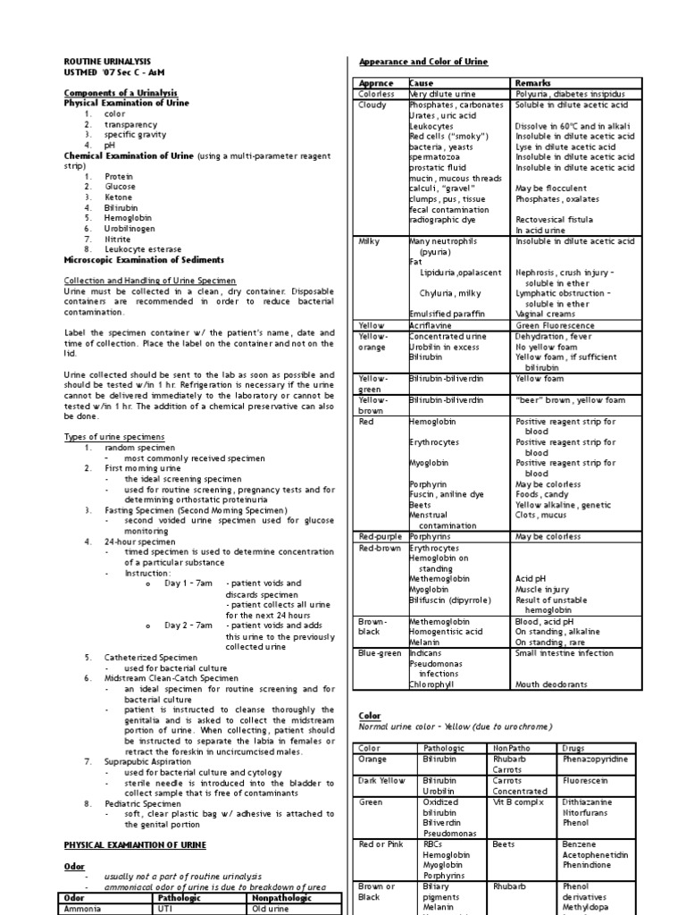 Urinalysis Overview and Procedures | PDF | Urine | Glucose