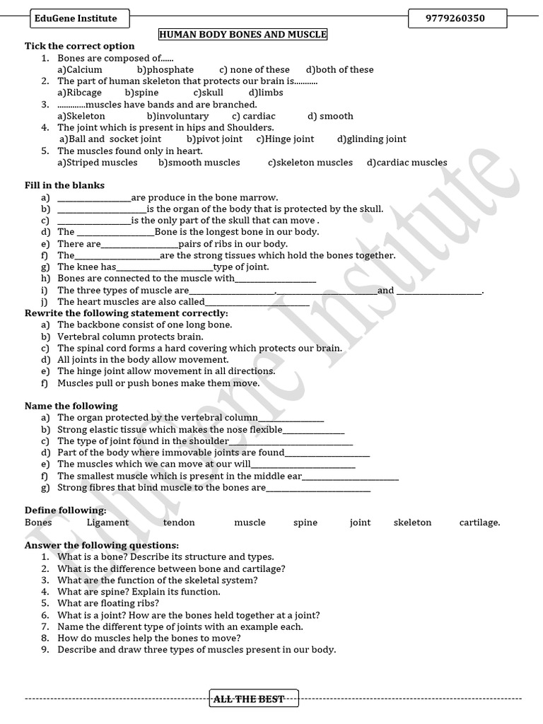 Class 5th Science | Download Free PDF | Skeleton | Nerve