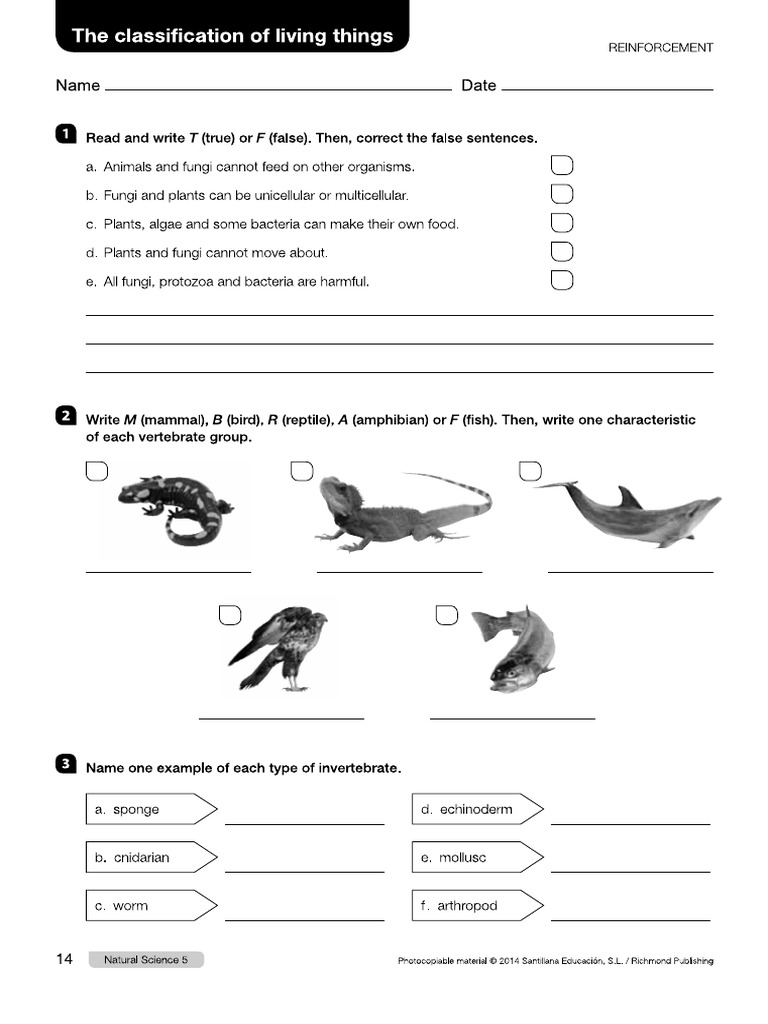 NS2 Classification of Living Things | PDF