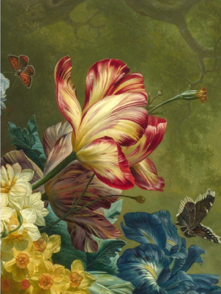 ảnh bìa chuyên đề cô trang 4 | PDF