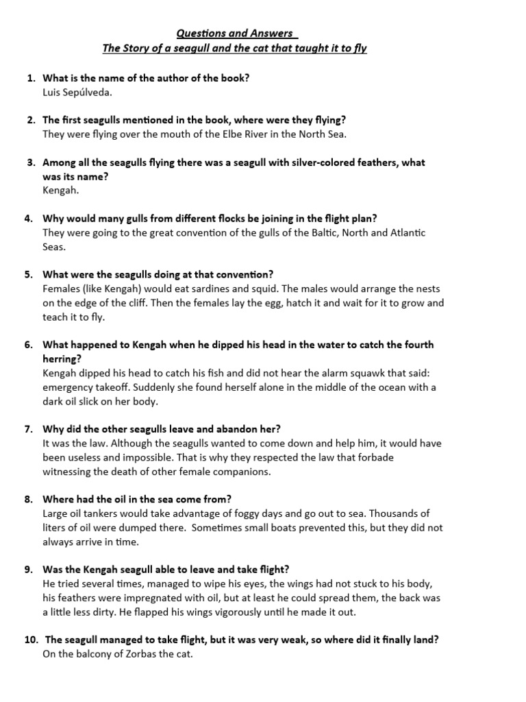 Questions and Answers Story of A Seagull | PDF | Gull | Cats