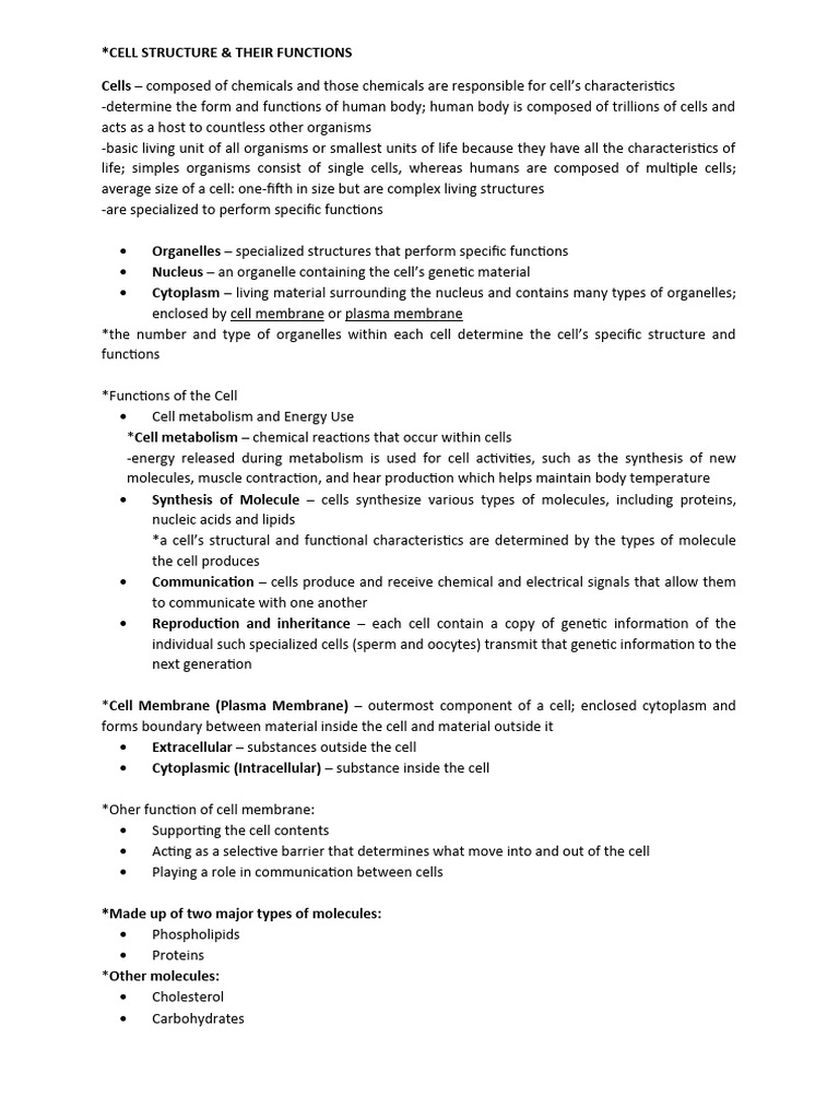 Cell Structure | PDF
