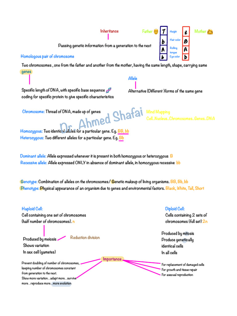 Inheritance and Variation Notes | PDF