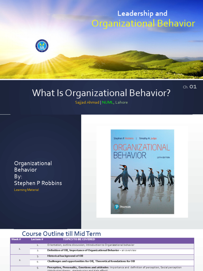 OB Slide 01 - Intro | PDF | Leadership | Organizational Behavior