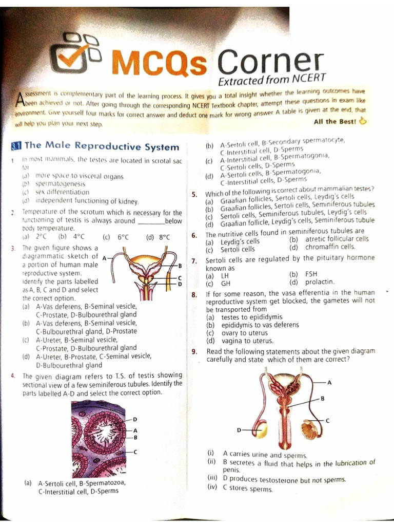 Pyq Bio Anatomy in Flowering Plant Human Reproduction-1 | PDF