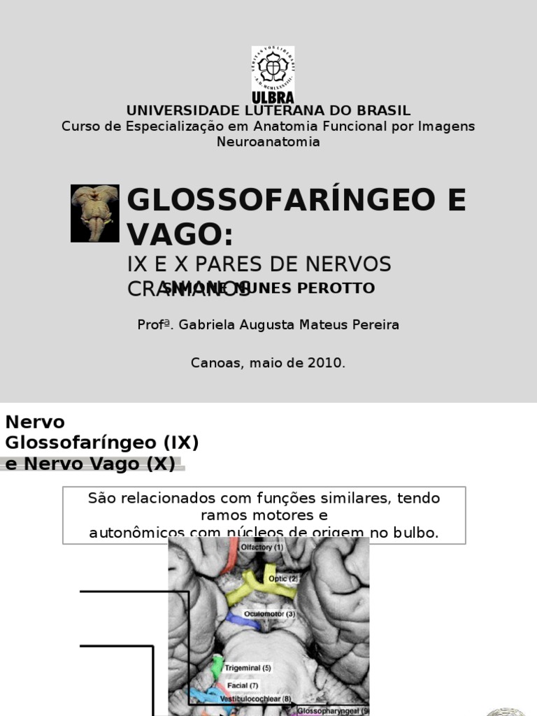 Funções dos Nervos Glossofaríngeo e Vago | PDF | Laringe | Nervo