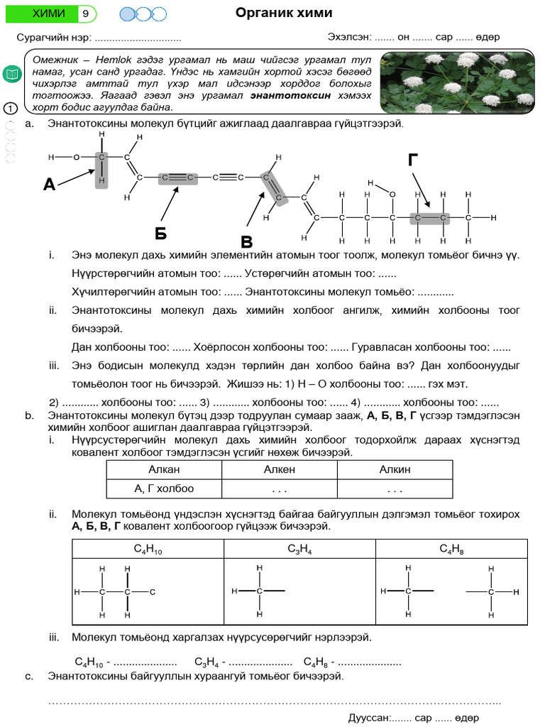 9 Organic Khimi | PDF