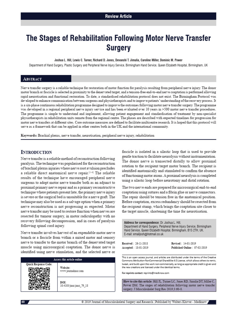 The Stages of Rehabilitation Following Motor Nerve Transfer Surgery ...