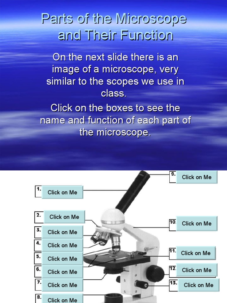 Parts of The Microscope | PDF | Microscope | Electromagnetic Radiation