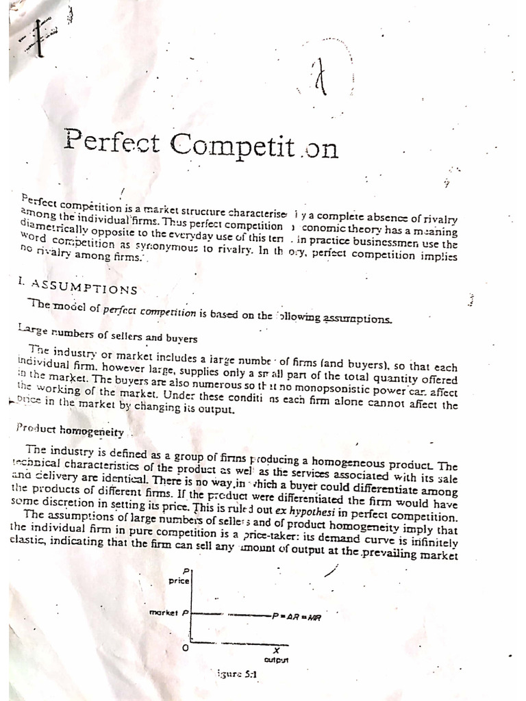 Perfect Competition | PDF