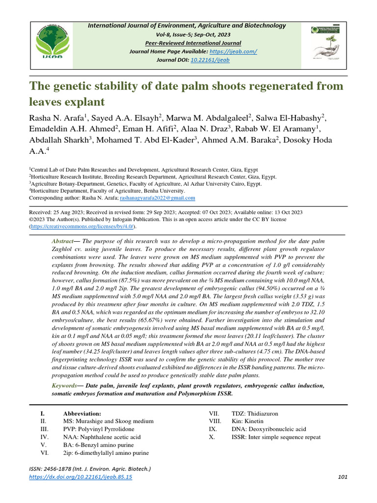 The Genetic Stability of Date Palm Shoots Regenerated From Leaves ...
