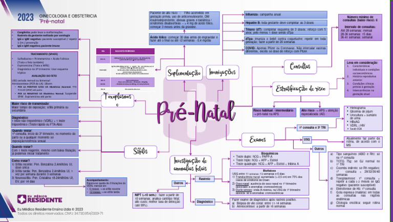 Mapa - Mental-SESPE Pre-Natal | PDF | Gravidez | Ciências da Saúde