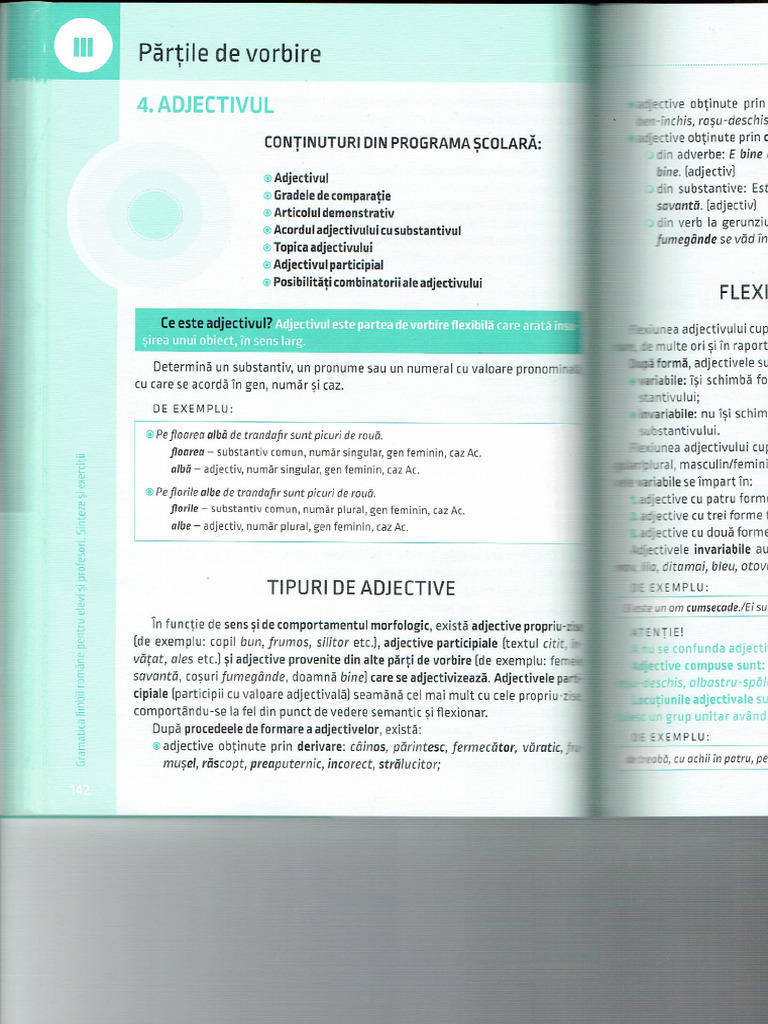 Adjectivul Teorie | PDF