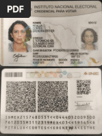 Nueva Plantilla Ine | PDF | Politica de mexico | Elecciones