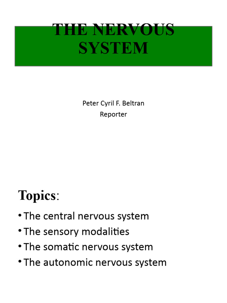 THE NERVOUS SYSTEM-WPS Office | PDF | Wellness