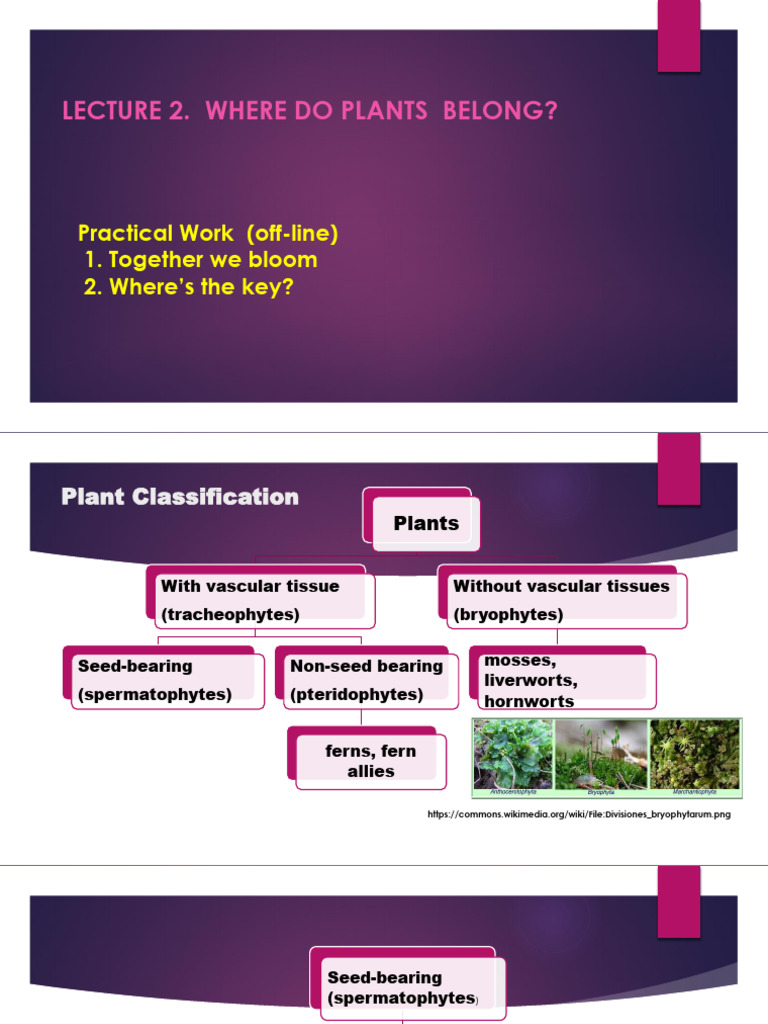 Uninomial Classification of Plants | PDF