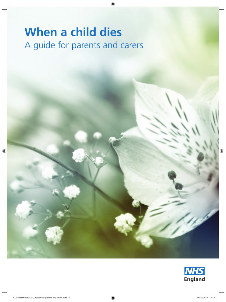 Parent Leaflet Child Death Review v2 | PDF | Coroner | Childbirth