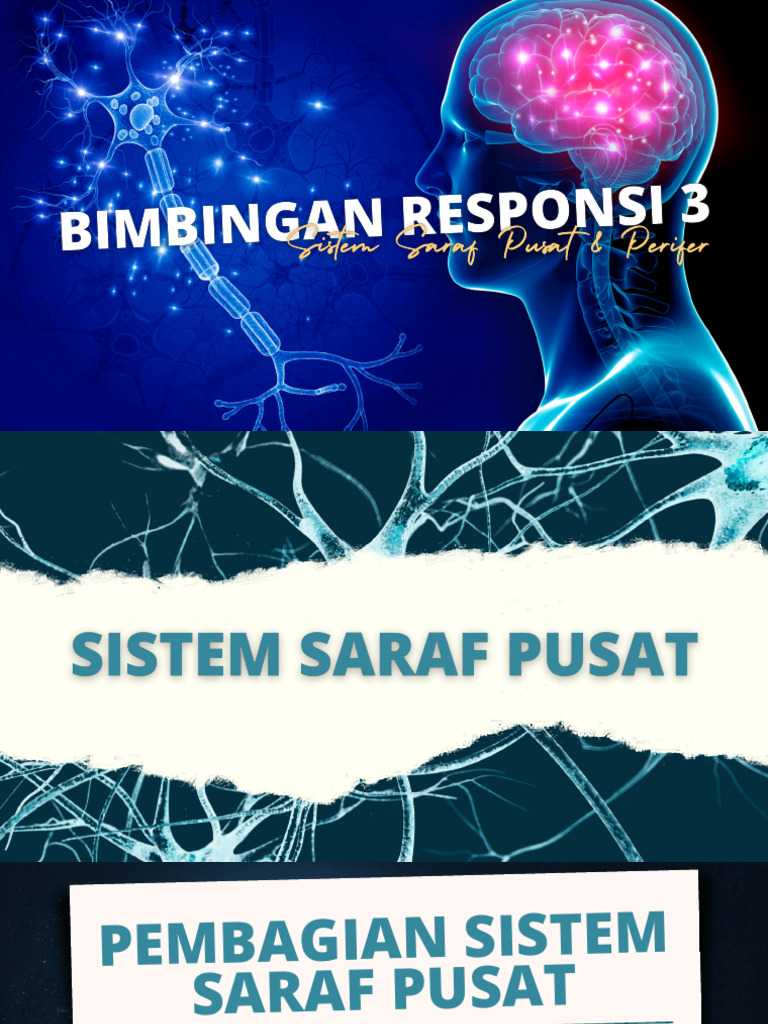 Sistem Saraf Pusat Dan Perifer | PDF