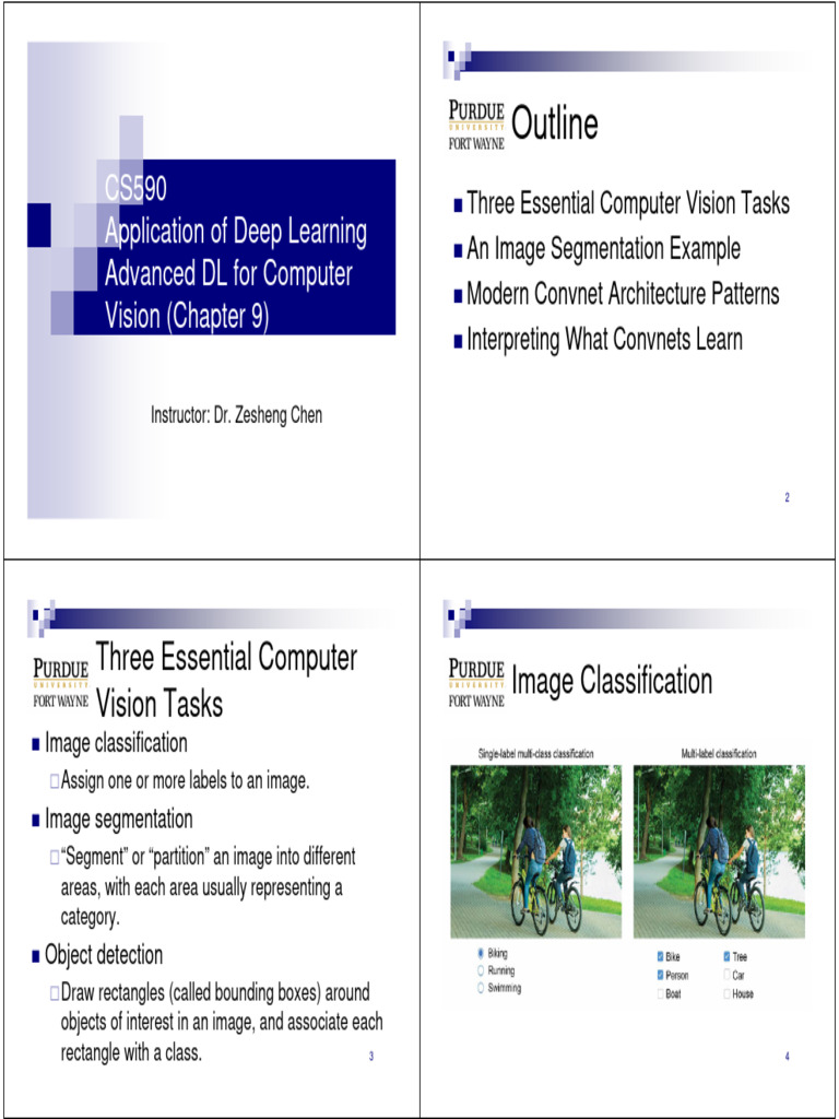 Advanced DL Computer Vision | PDF | Image Segmentation | Computer Science