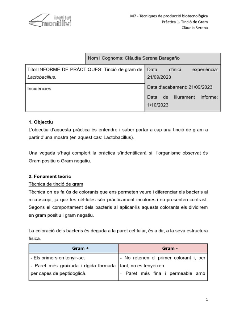INFORME P1.Tinció de Gram - Clàudia Serena Baragaño | PDF