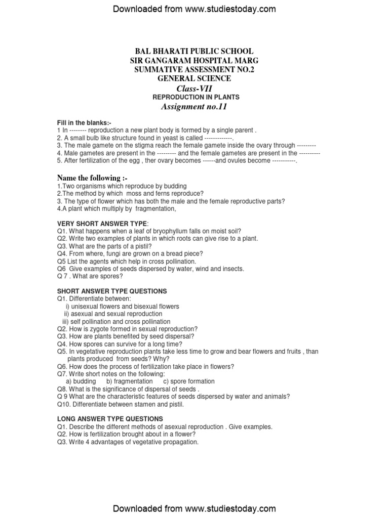 CBSE Class 7 Science Worksheet | PDF | Science & Mathematics