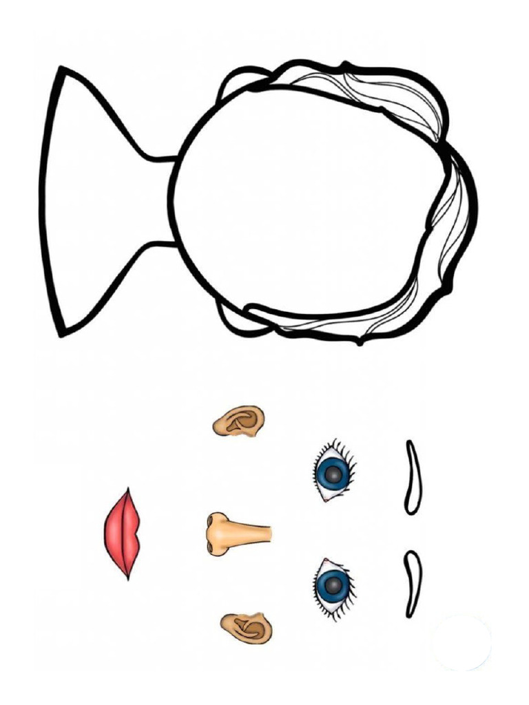 Fichas Partes de La Cara | PDF