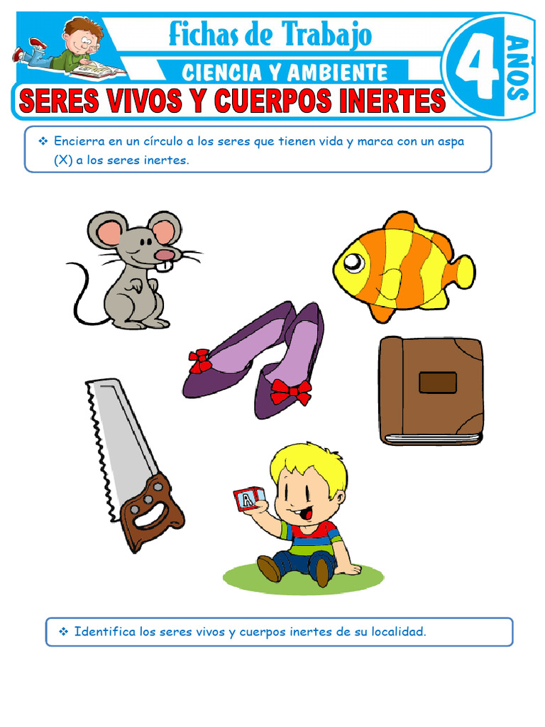 Seres Vivos y Cuerpos Inertes para Ninos de 4 Anos | PDF
