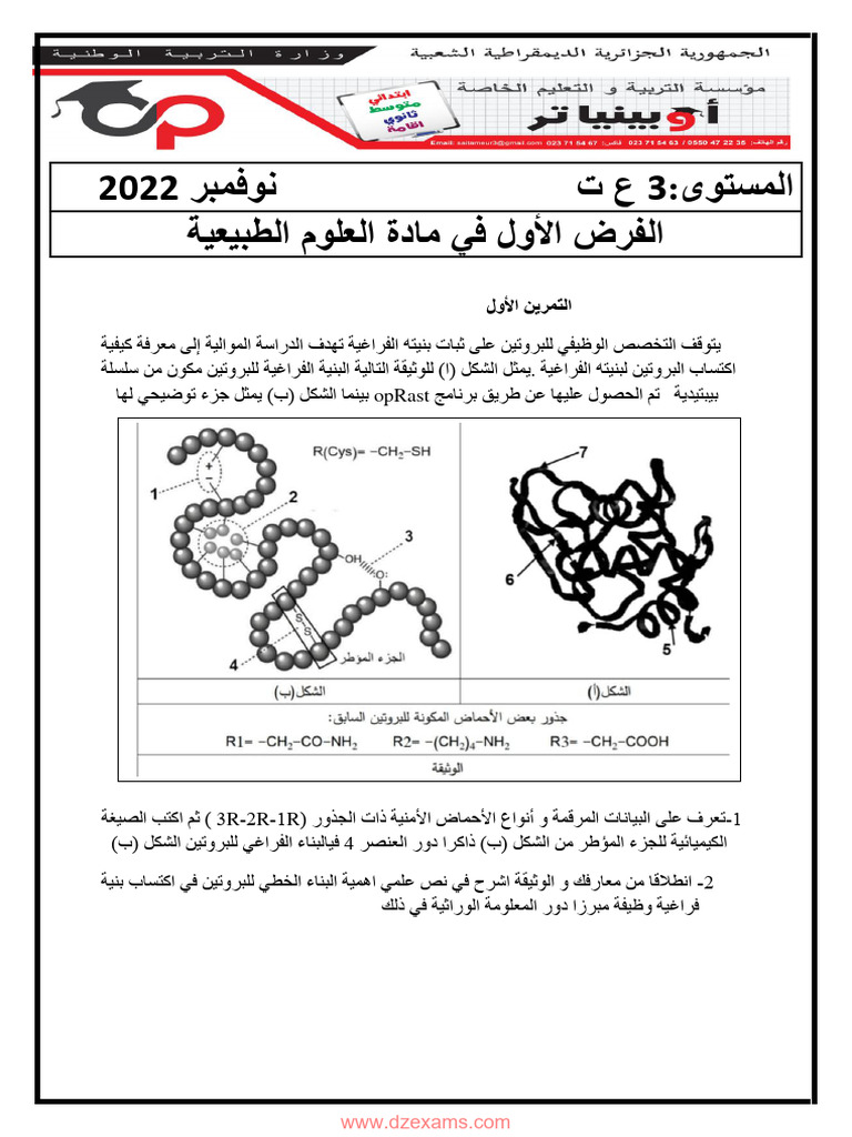 Dzexams 3as Sciences 968196 | PDF