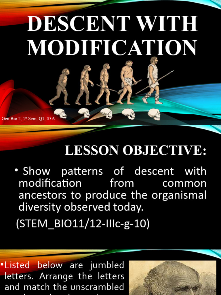 Descent With Modification | PDF | Organisms | Genetics