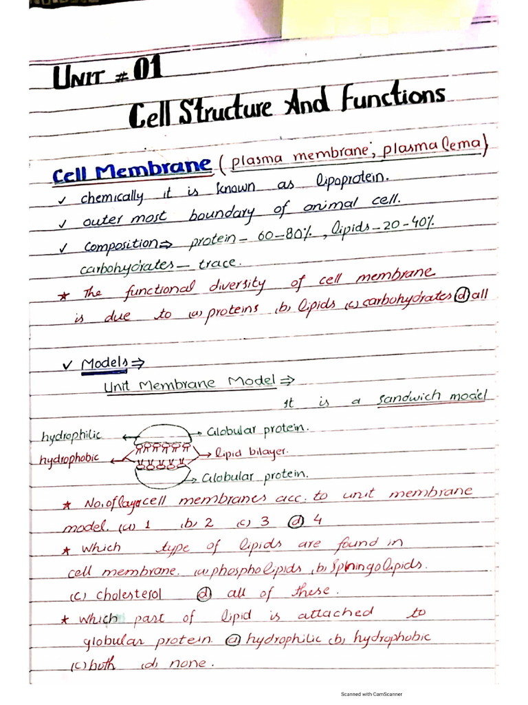 Bio Unit Cell Structure and Functions | PDF