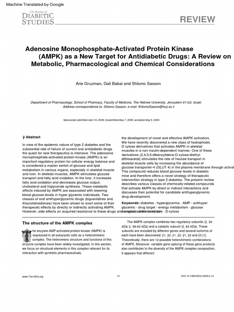 Adenosine Monophosphate-Activated Protein Kinase (AMPK) As A New Target For Antidiabetic | PDF