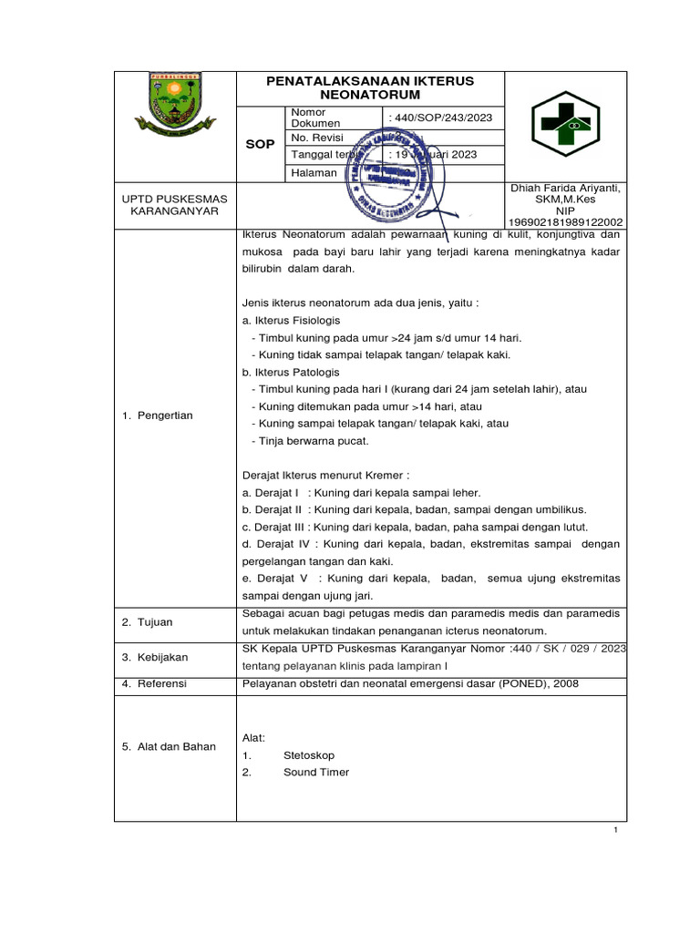 Penatalaksanaan Ikterus Neonatorum | PDF
